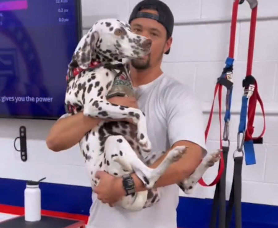 The Bold and the Beautiful Star Matthew Atkinson Shares Adorable Video ...