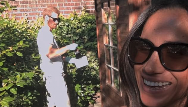 General Hospital Spoilers: Carly Captured By The WSB, Valentin's Secret ...