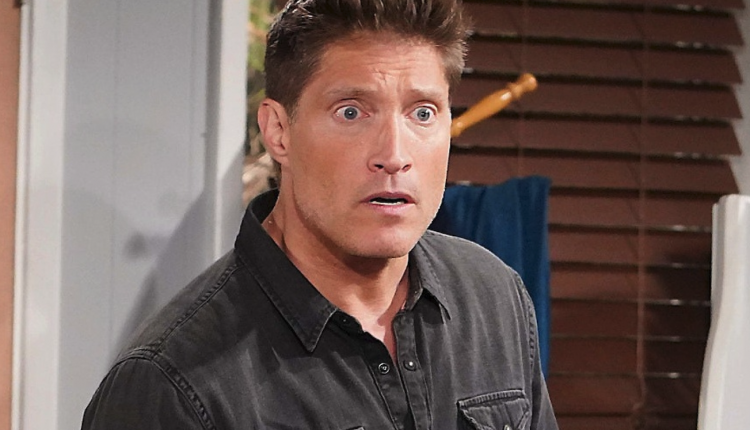 The Tragic Divorce Of The Young and the Restless Star