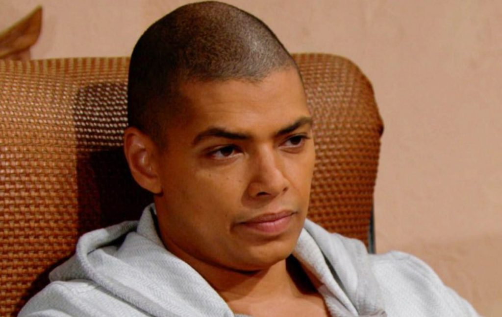 The Bold And The Beautiful Spoilers: Why Didn’t Luna Target Zende ...